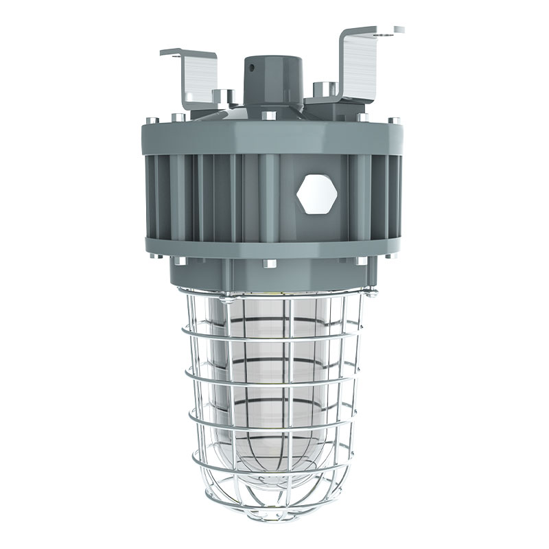 Explosion Proof Bulbs 20W 30W 40W IP66 - BBIER®