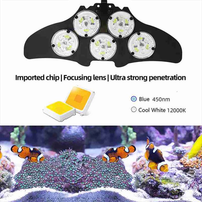 Aquarium Uv Light Fish Lighting - BBIER®