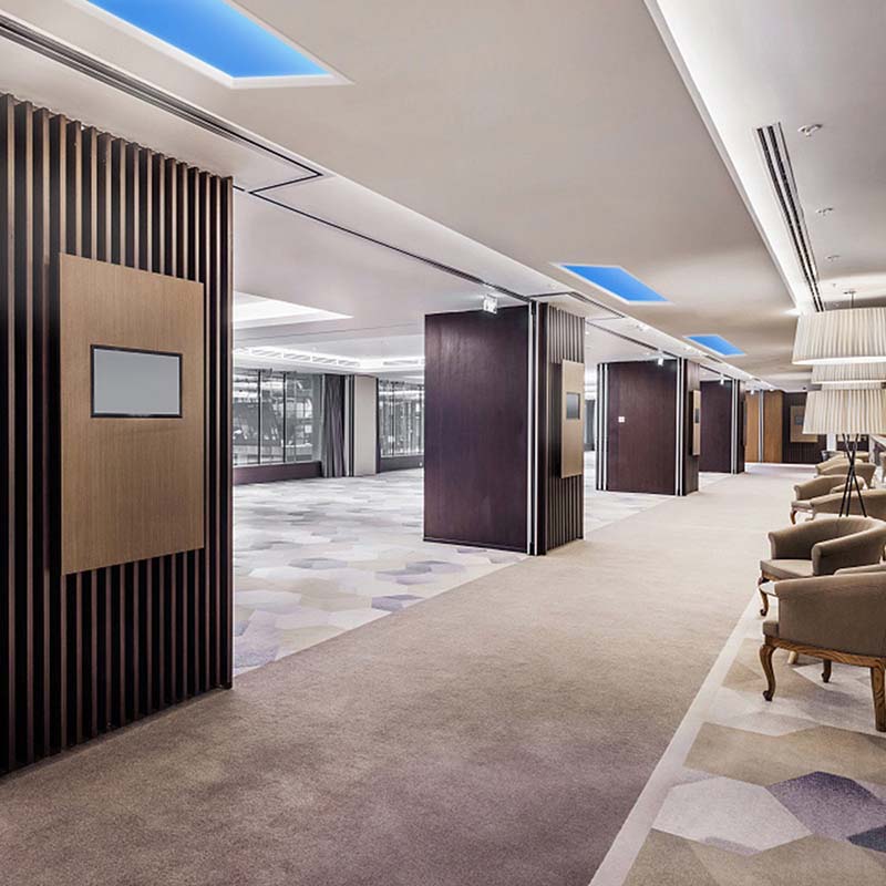 Skylight LED: Redefining Daylight—Where Nature Meets Innovation - BBIER®